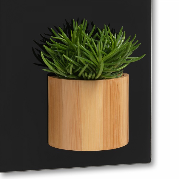 NAGA Glass | Boards Direct | FREE Delivery